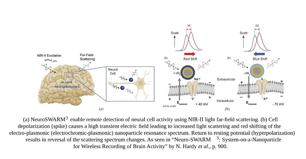 Tiny injectable sensors have been developed to track brain activity ...