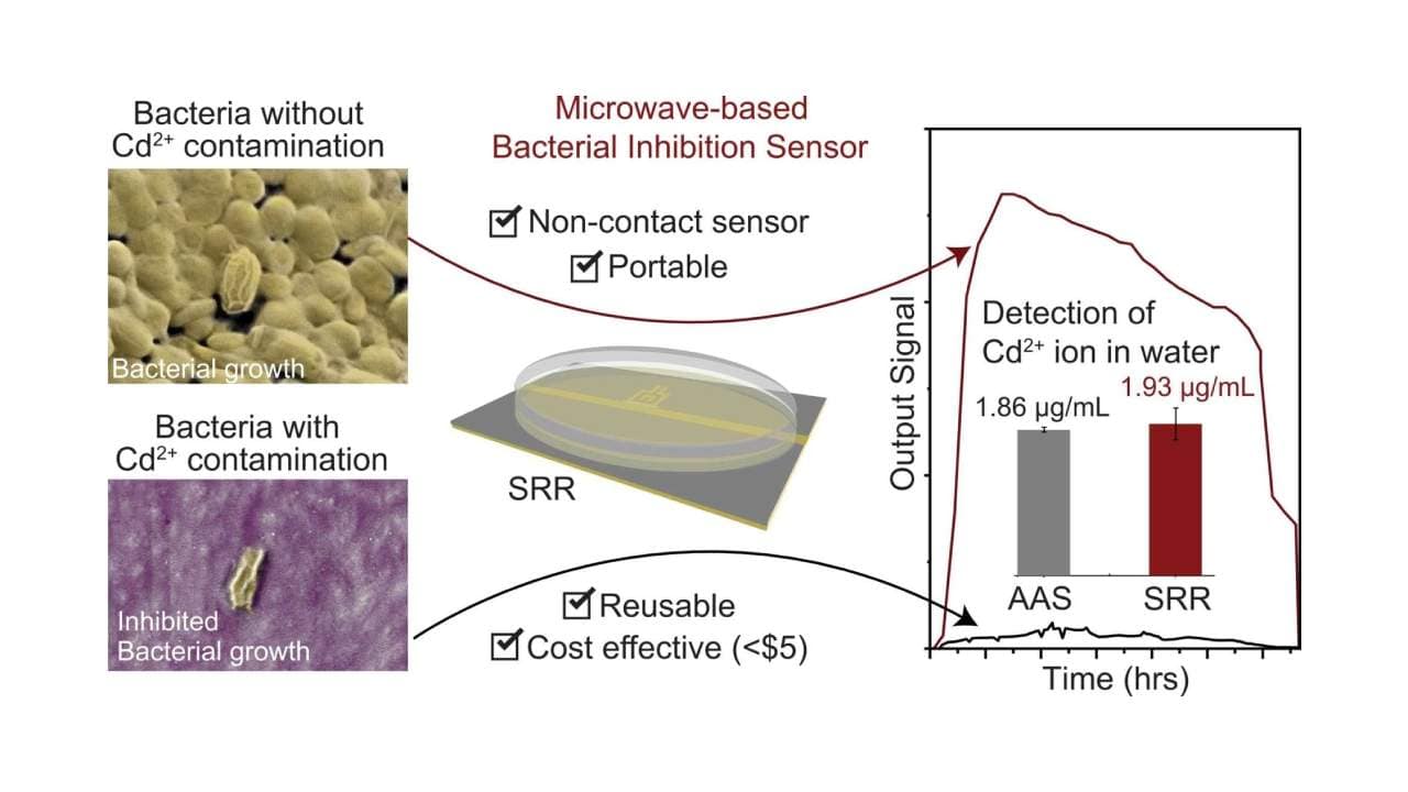 Microwave Based Sensor For Cadmium Detection Utilizing Bacterial
